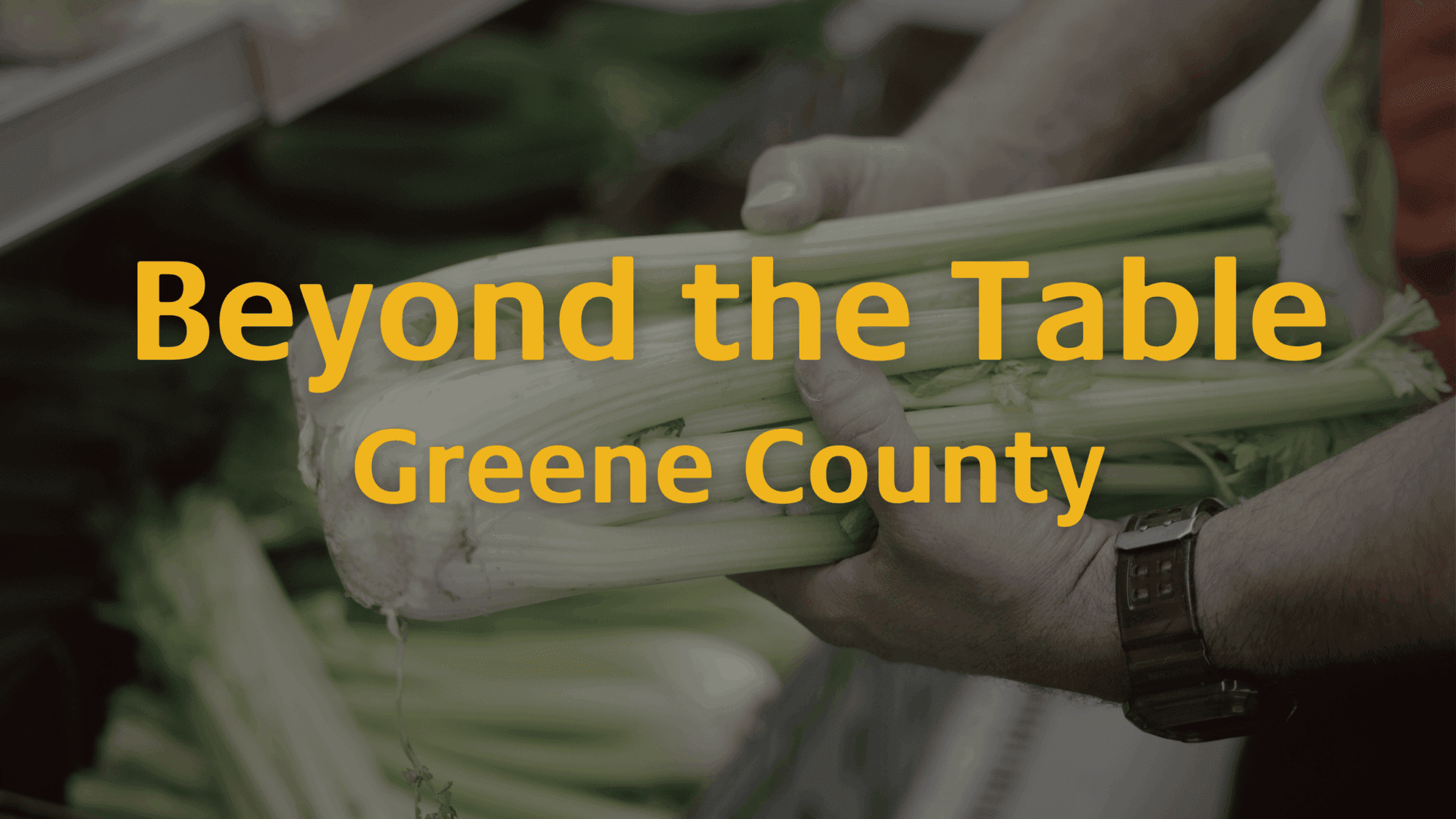 Beyond the Table | July 2025 - Greater Pittsburgh Community Food Bank